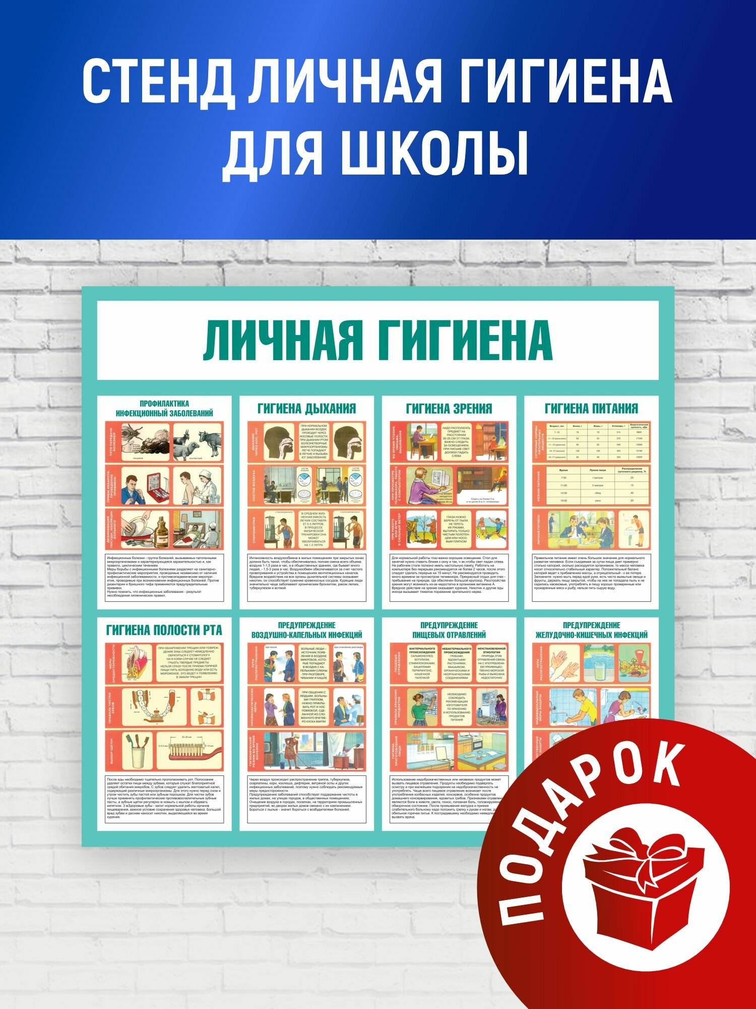 Стенд информационный "Личная гигиена" для школьников, 710 х 750 мм