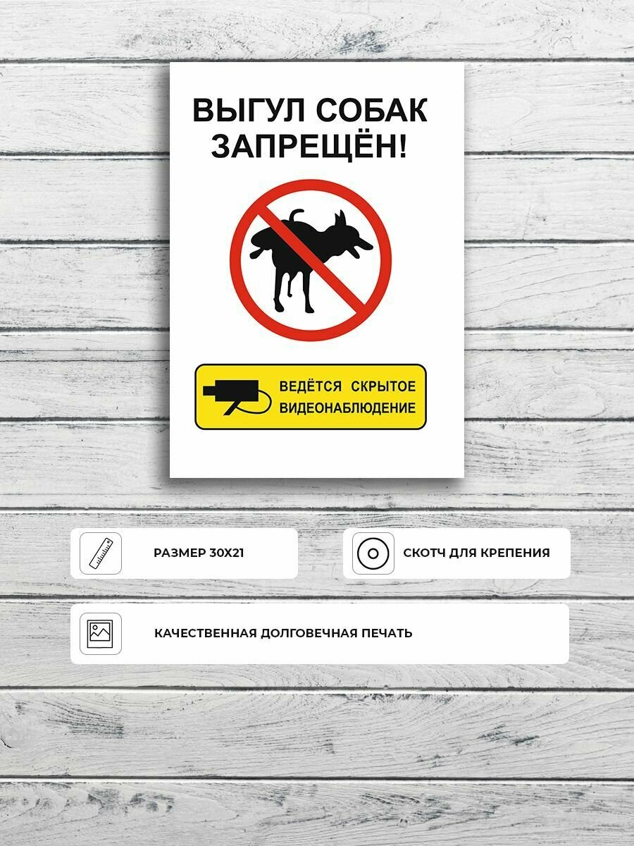 Табличка "Выгул собак запрещен, ведется видеонаблюдение" А4 (30х21см)