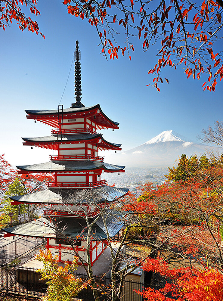 Фотообои Divino Decor "Япония" А-010(А-076) 200*270 фактура холст