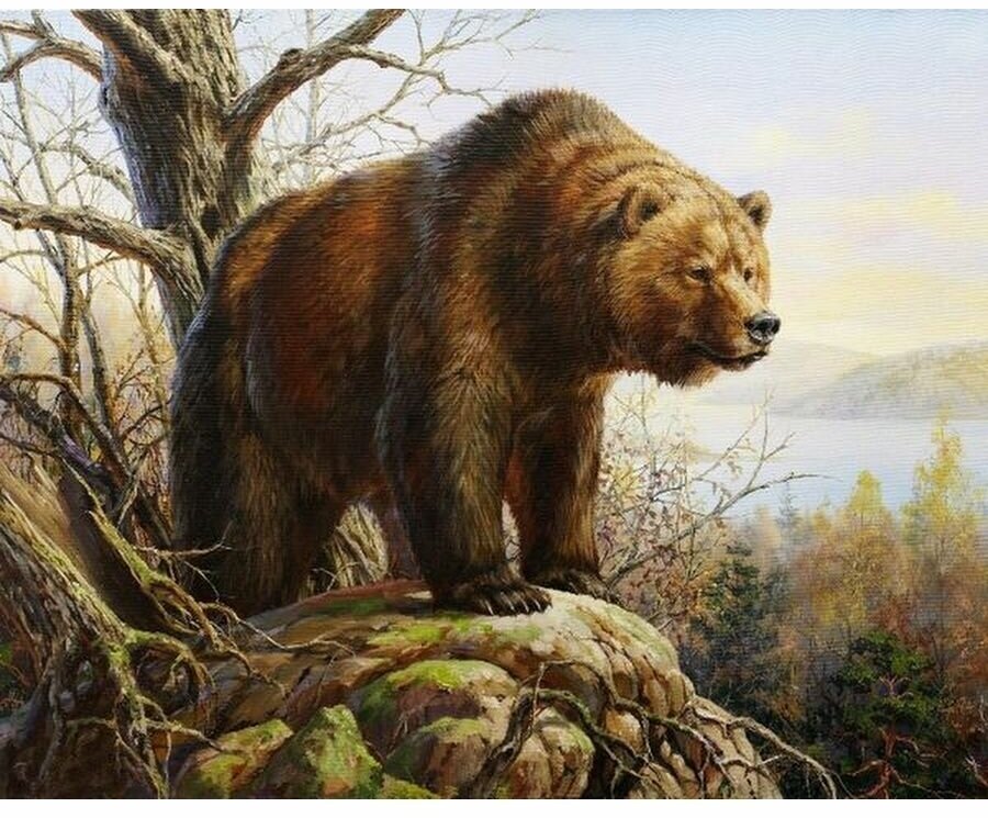 Картина по номерам медведь на скале 40х50