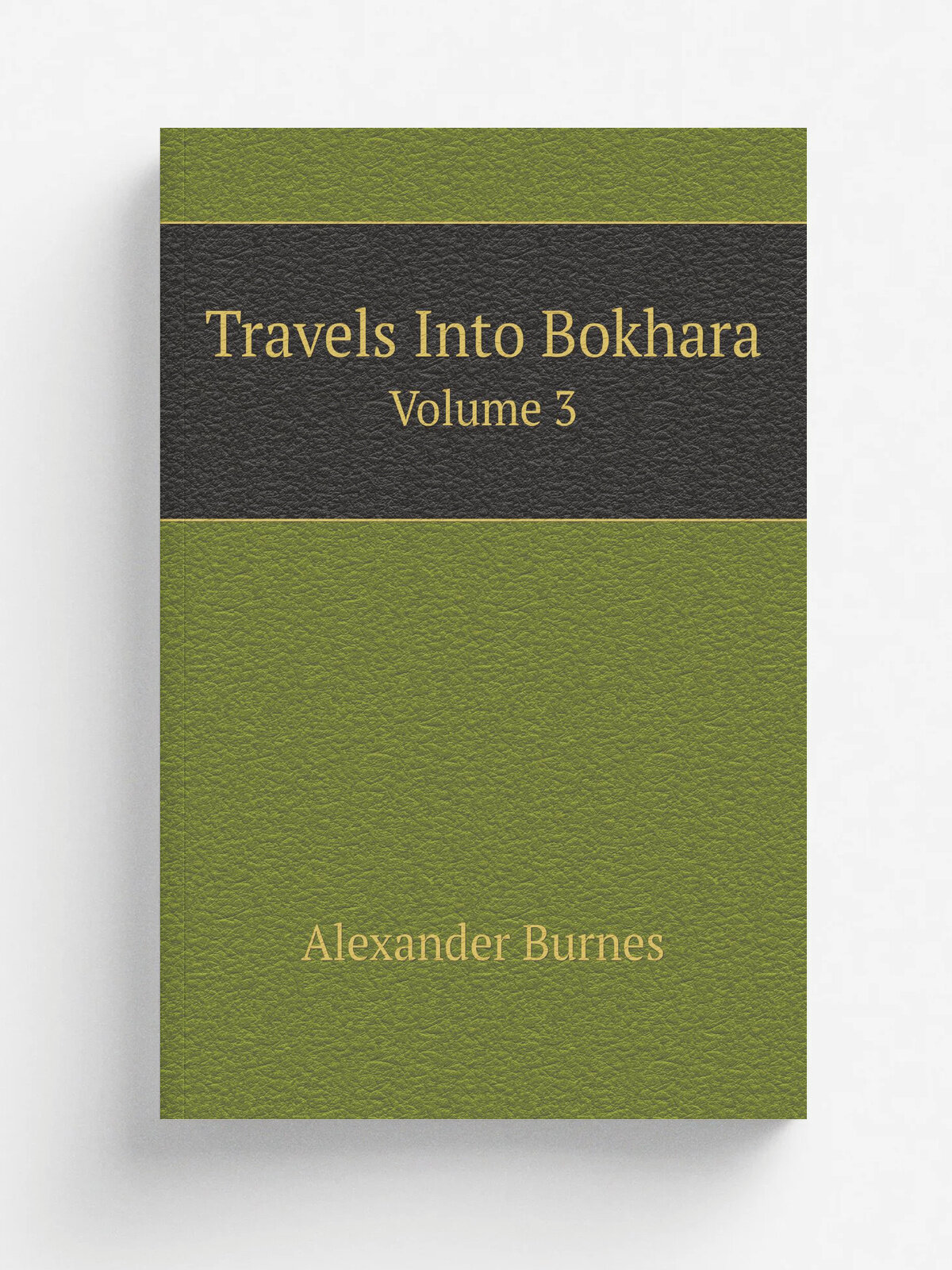 Travels Into Bokhara. Volume 3