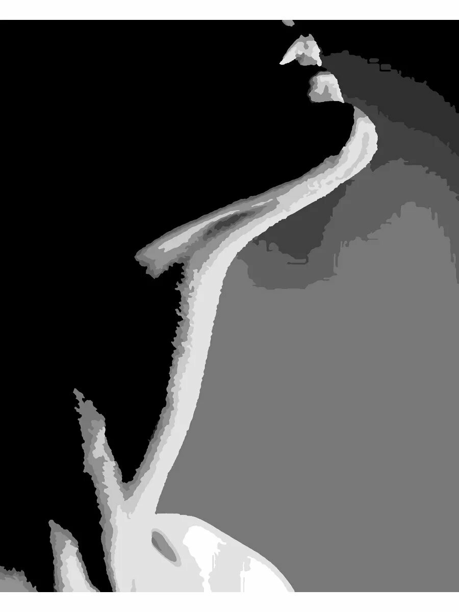 Картина по номерам Тут рисуют "Страсть. Пара", 40x50 см, холст, на подрамнике, акриловые краски