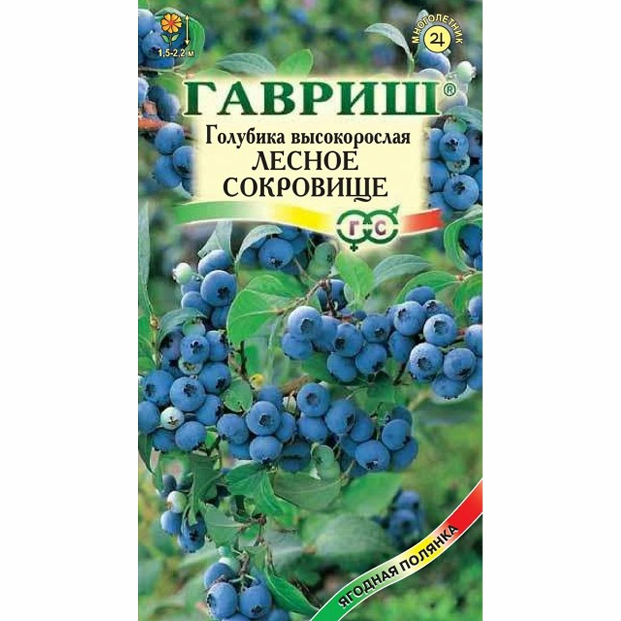 Семена Голубика Лесное сокровище высокорослая, Гавриш, 1 пачка - 30 семян