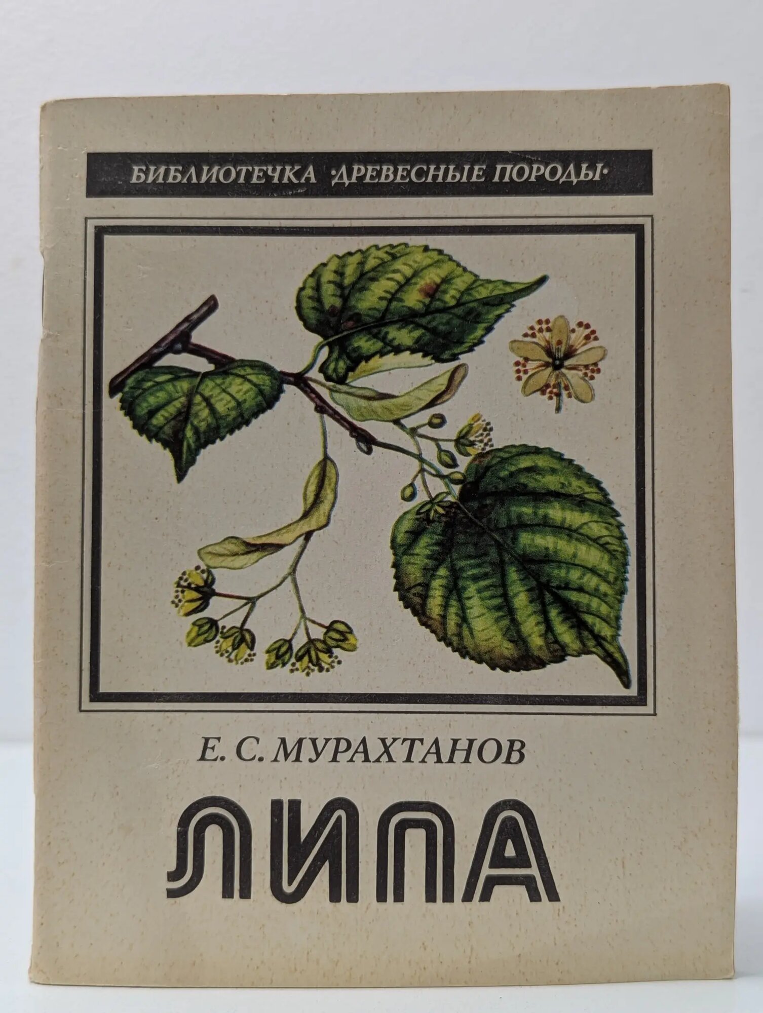 Библиотечка "Древесные породы". Липа Мурахтанов Евгений Сергеевич 1981