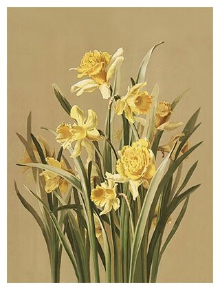 Канва/ткань с рисунком Gamma Основа с рисунком для вышивания лентами 30 x 36 см OVM-0107 "Нарциссы"