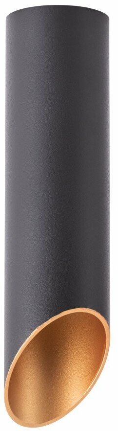 Потолочный светильник Arte Lamp Pilon-Gold A1535PL-1BK