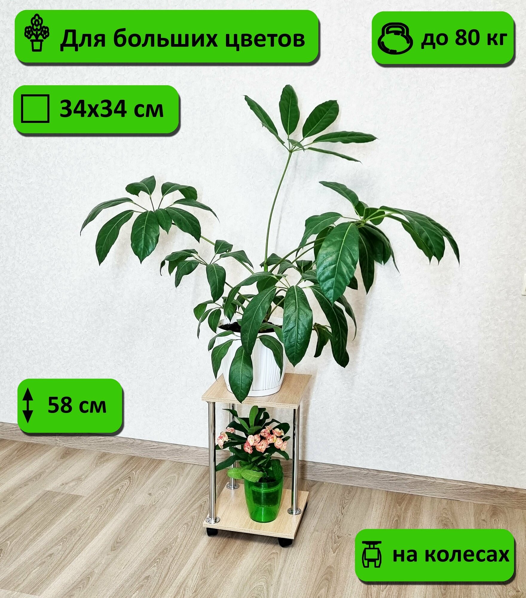 Напольная подставка для цветов на колесах. Высота 58 см. 2 полки. 34х34 см. Сириус-2/50, дуб сонома.