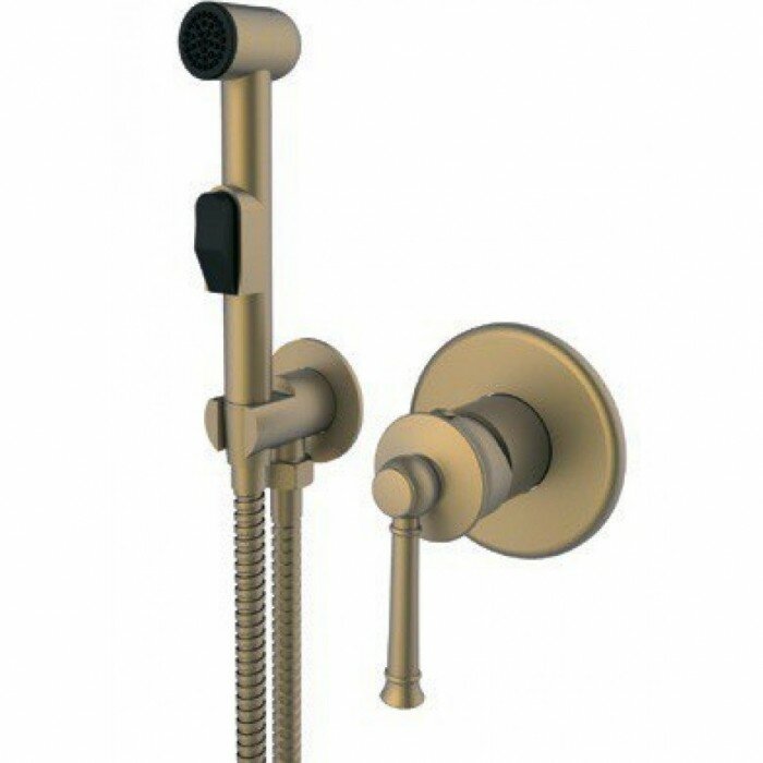 Комплект скрыт. монтажа для биде ViEiR V273553-D Бронза