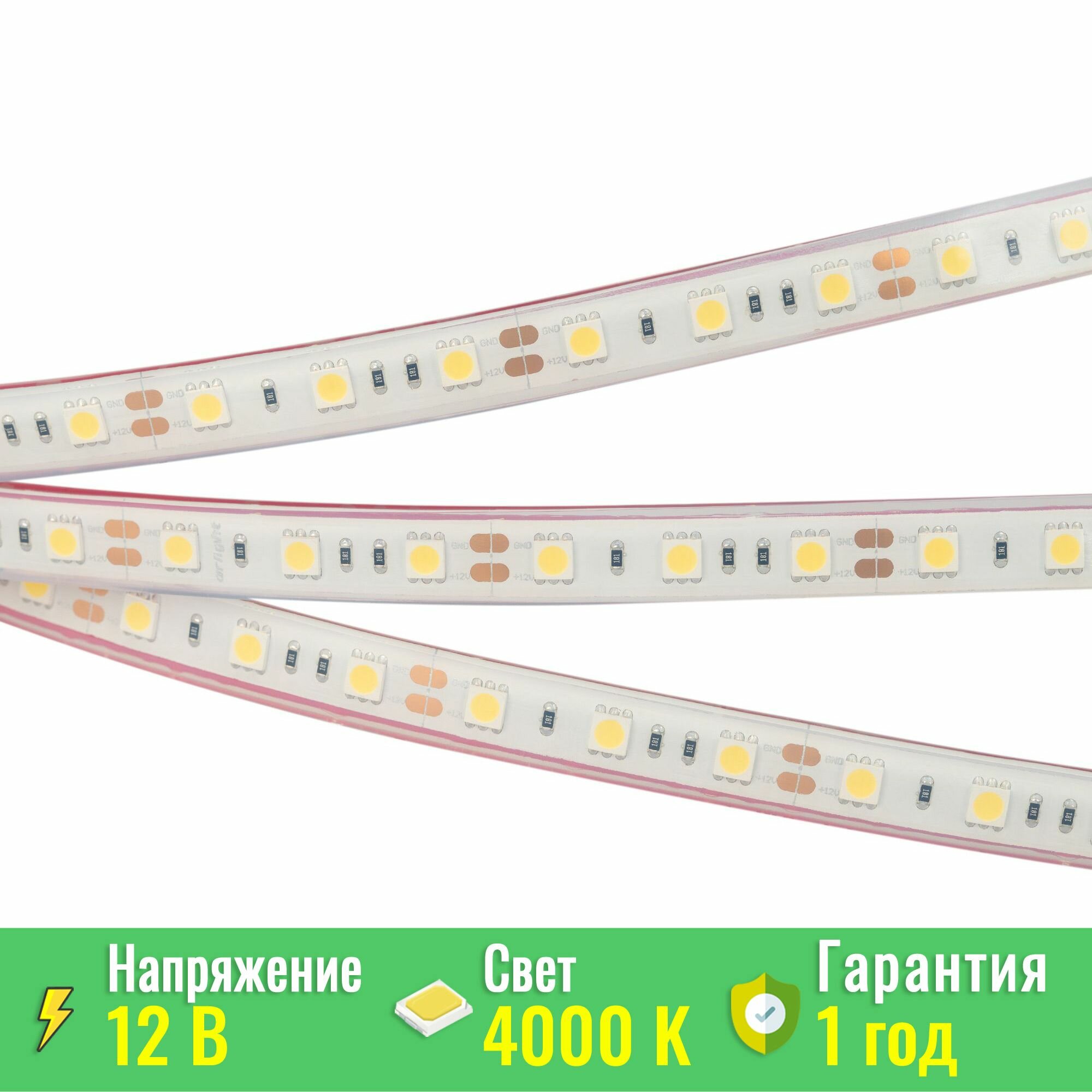 Светодиодная лента герметичная RTW-PFS-B60-13mm 12V Day4000 (14.4 W/m, IP68, 5060, 5m) (Arlight, -) 034032