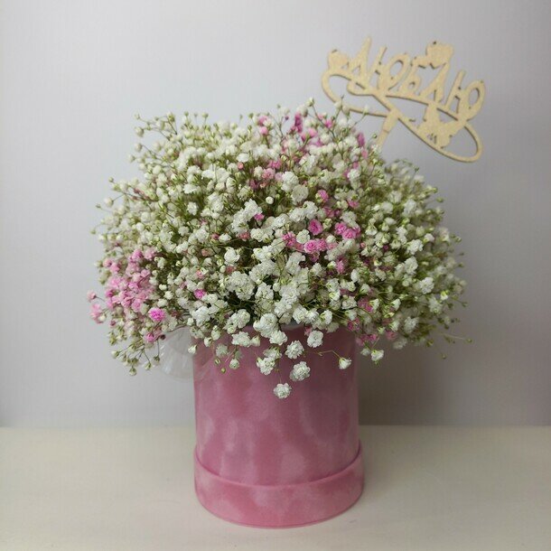 Букет Well Flowers "Гипсофила", круглый, S, в шляпной коробке, букет свежих цветов