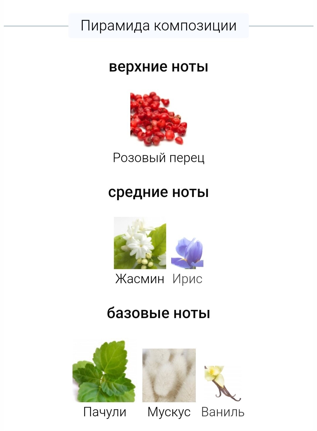 Духи ручной работы по мотивам 'Chance', для женщин Lu Parfume — фото 1