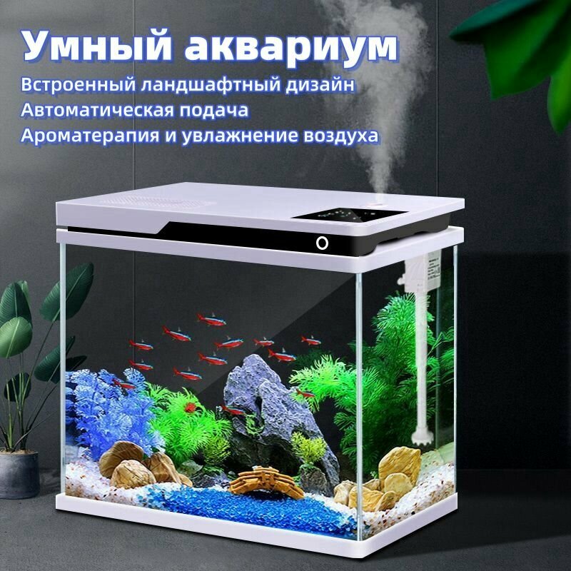 Аквариум