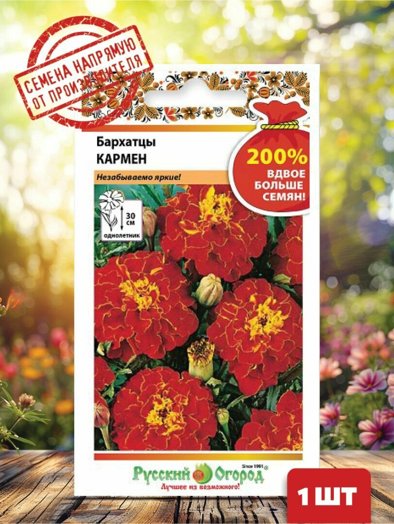 Бархатцы Кармен