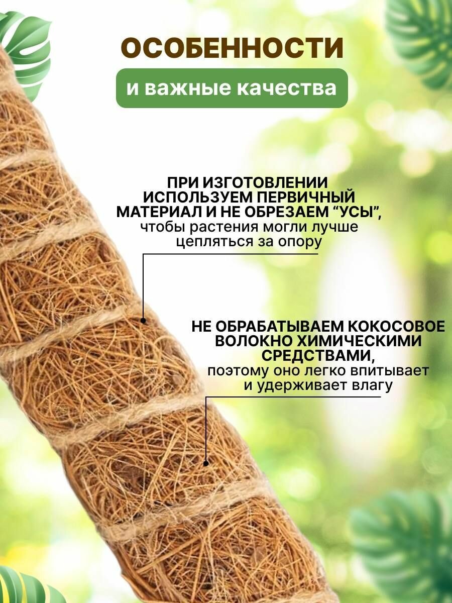 Опора для комнатных растений кокосовая 80 см