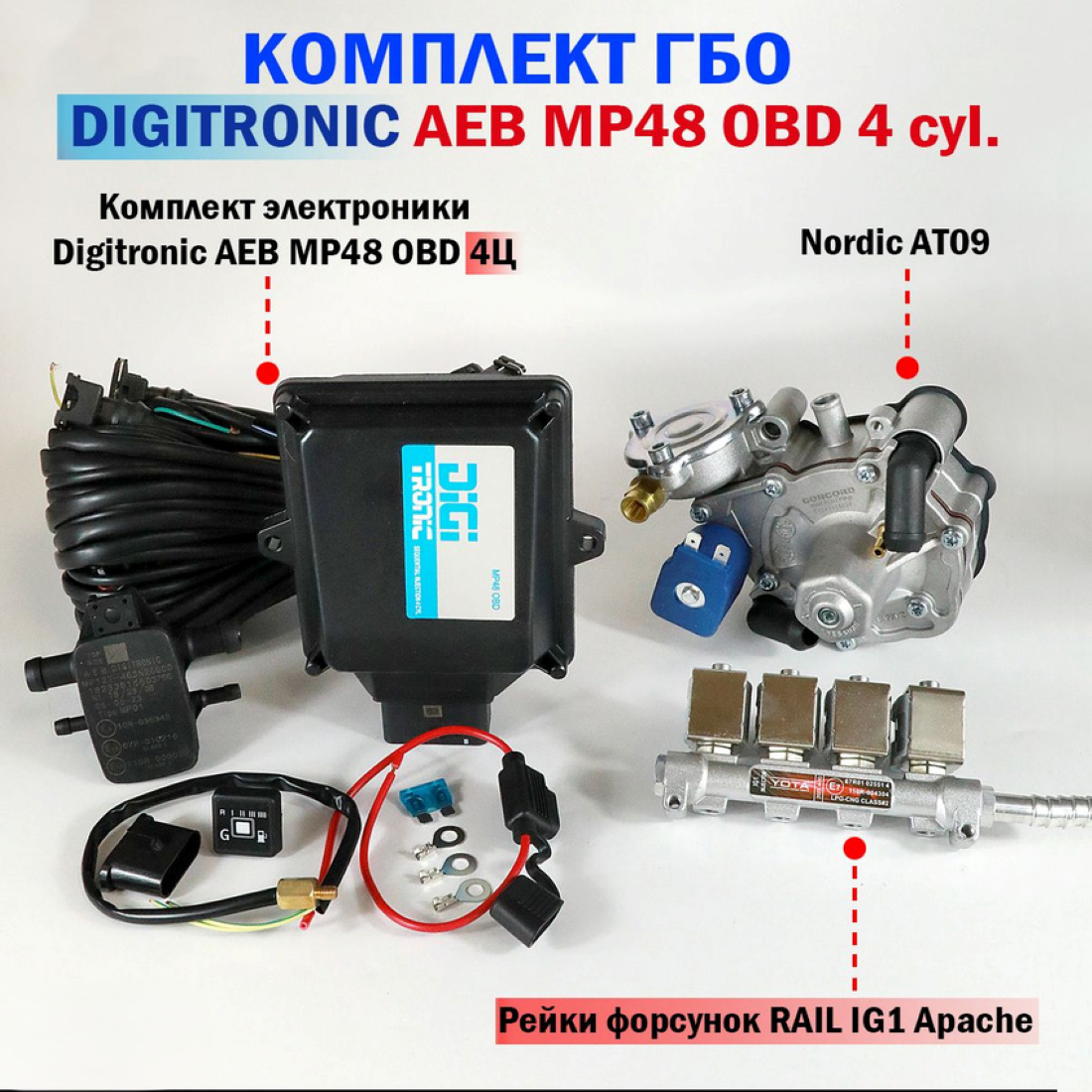 Комплект ГБО (4 цилиндра): AEB MP48 OBD, Nordic AT09, IG1 Apache