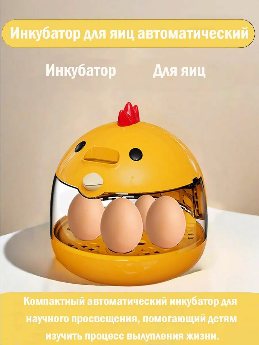 Инкубатор для 4 куриных яиц автоматический, домашний / Инкубатор для перепелиных яиц