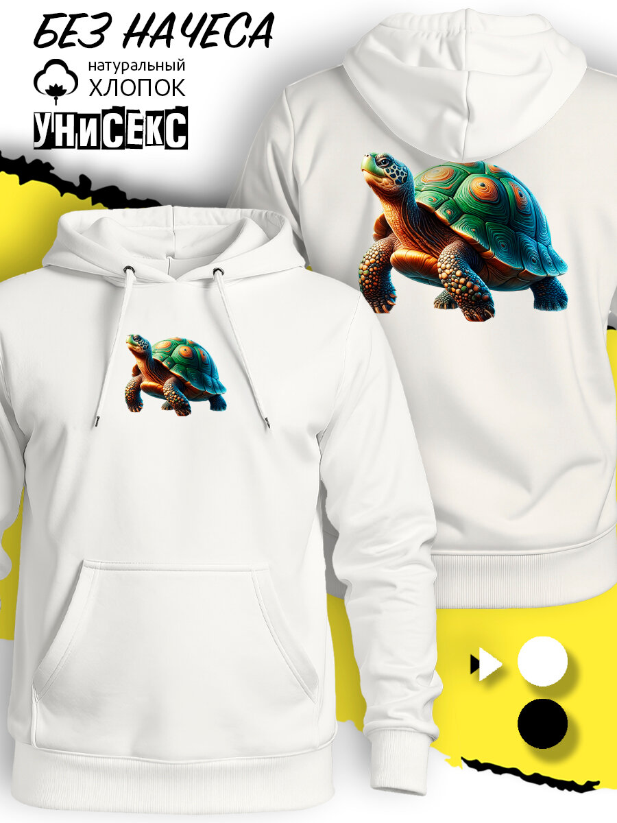 Худи Толстовка свитшот с черепахой