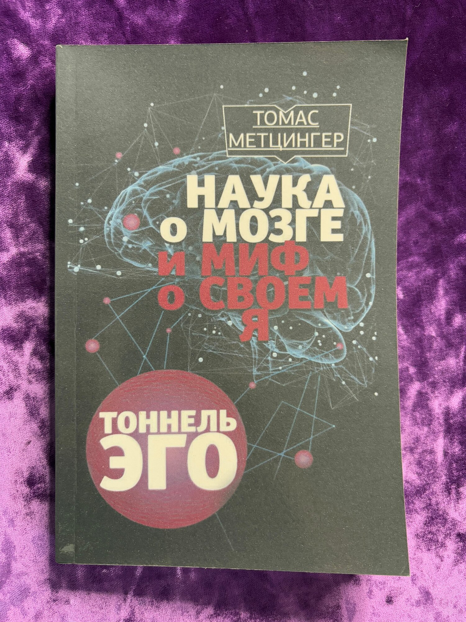 Наука о мозге и миф о своем Я Тоннель Эго