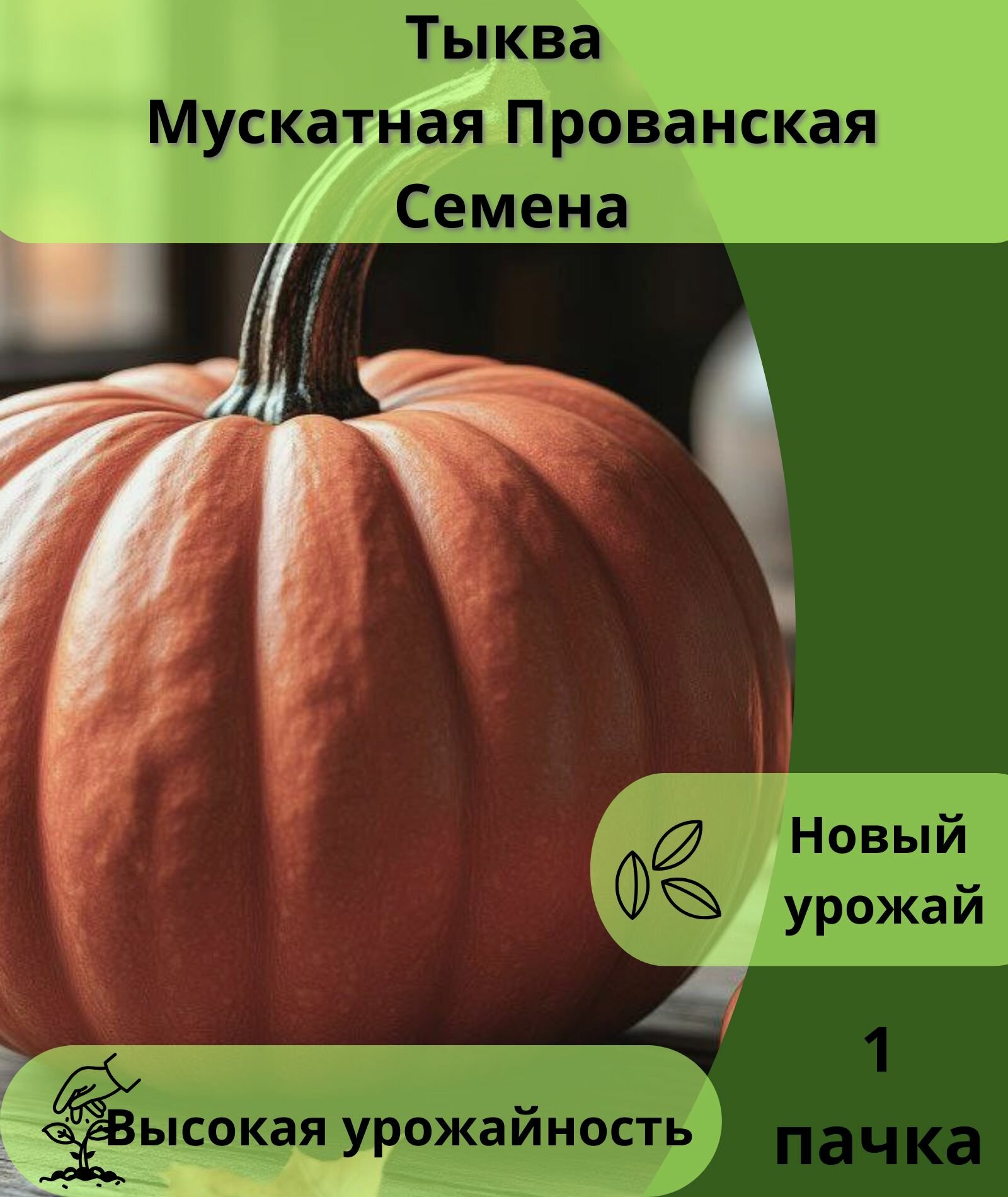 Тыква "Мускатная Прованская", семена 10шт