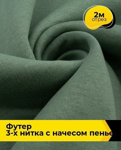 Ткань трикотаж Футер 3-х нитка с начесом (Пенье) 2 м*185 см, цвет зеленый