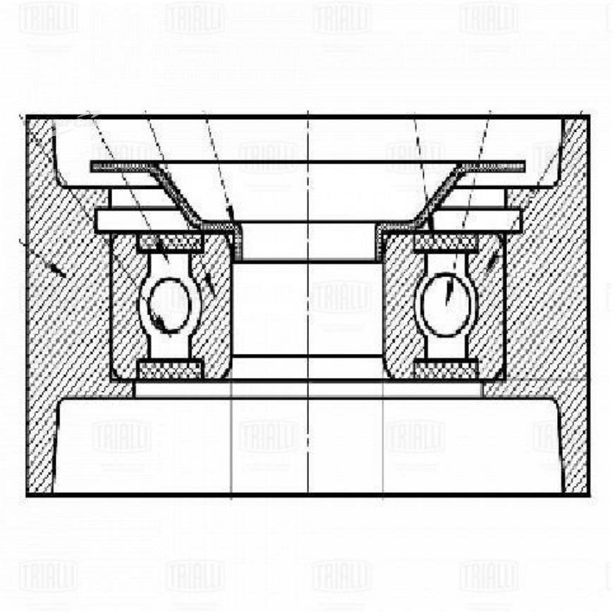 Ролик натяжителя Trialli арт. cm5910