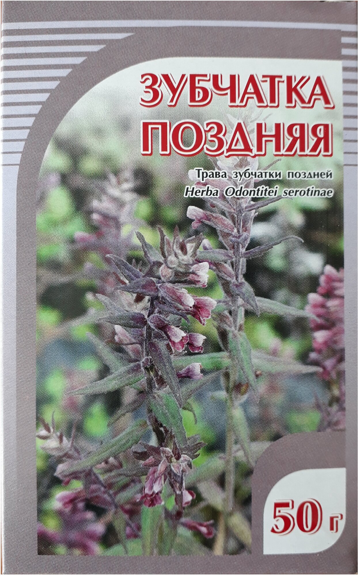 Зубчатка поздняя, трава 50 гр.