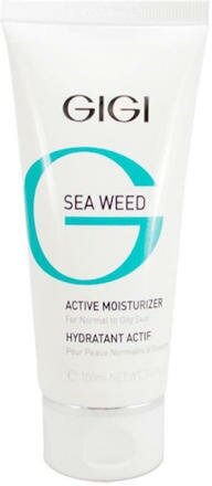 Крем увлажняющий активный для нормальной и жирной кожи Active Moisturizer For Normal To Oily Skin, 100 мл