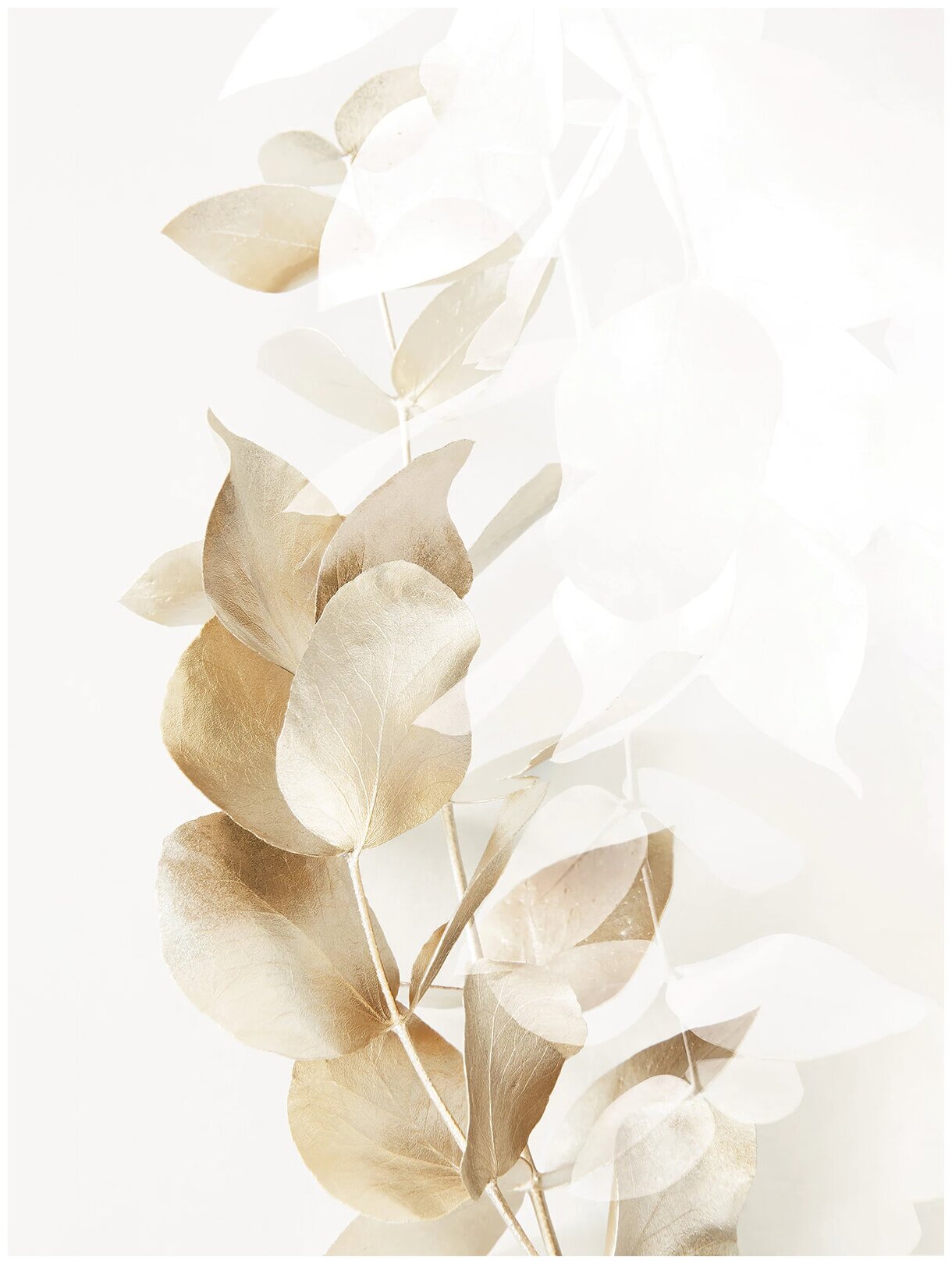 Постер / Плакат / Картина Золотые листья 60х90 см в подарочном тубусе