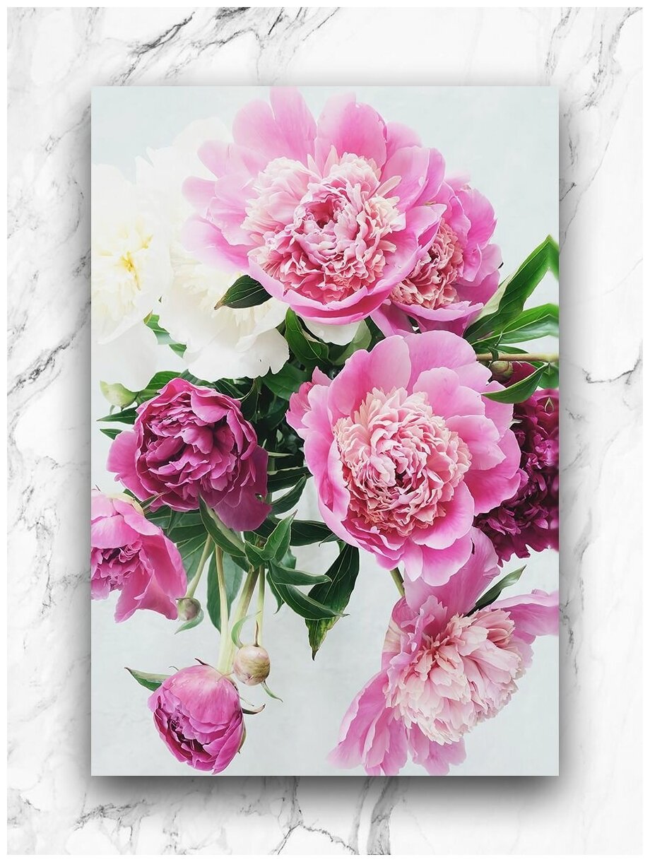 Картины для интерьера на холсте / Картина на стену 40 х 60 / Цветы / Пионы