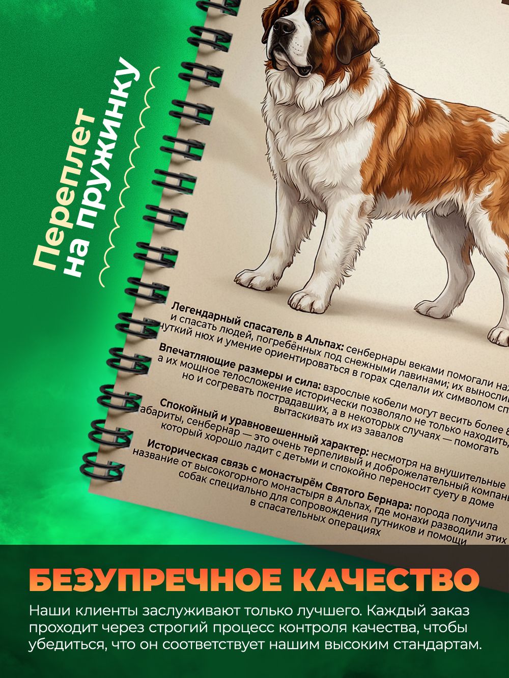 Тетрадь - А5 - Сенбернар — фото 1