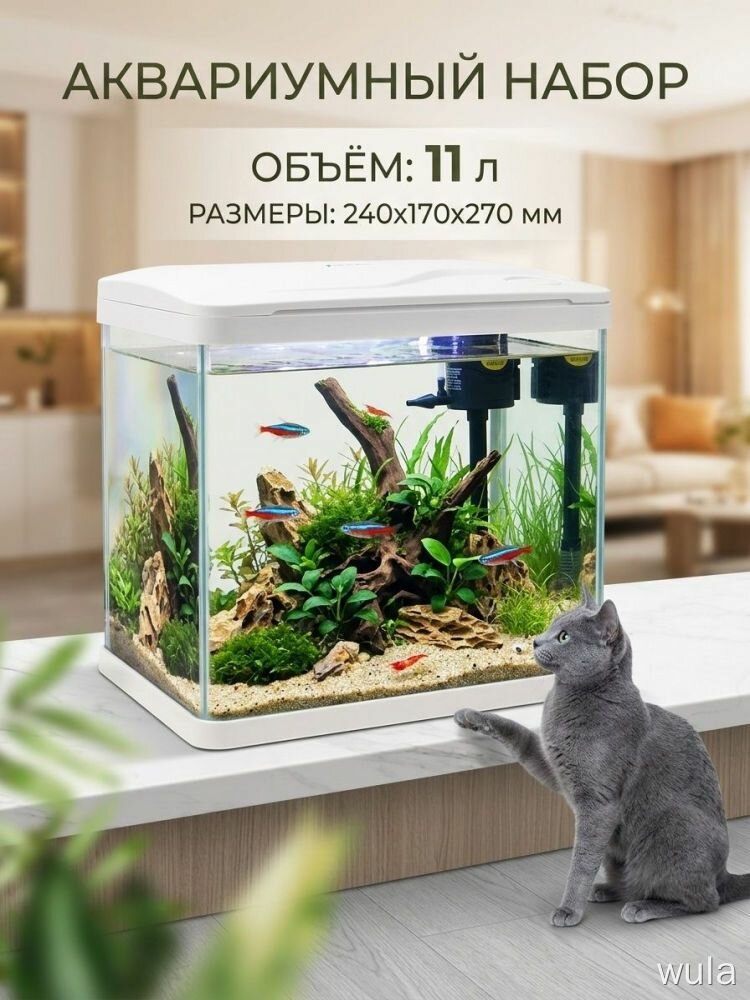 Аквариум 11 л настольный с фильтром и LED подсветкой, стеклянный 5 мм, тихий комплект для начинающих дома и офиса