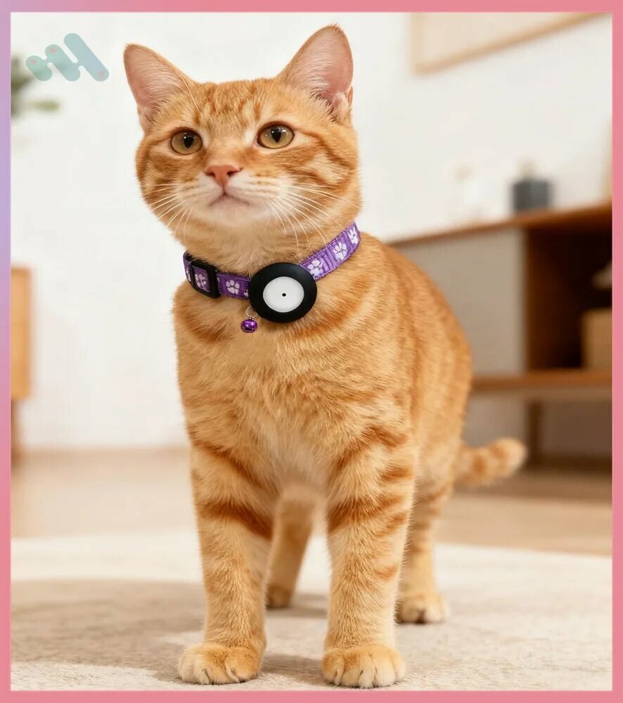 RFID-ошейник для кошек