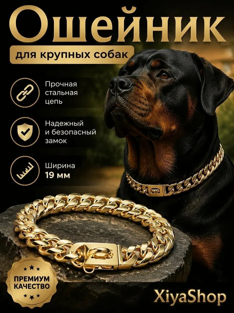 Ошейник для собак крупных пород из стали, толщина 19 мм, прочный, с регулировкой, золотой