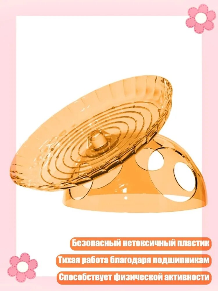 Фрисби