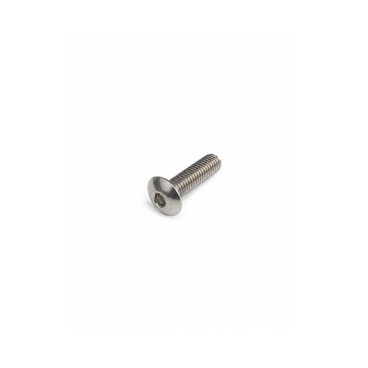 CNAE - болт под шестигранник со сферической головкой M6 Stainless Steel, 20 мм.