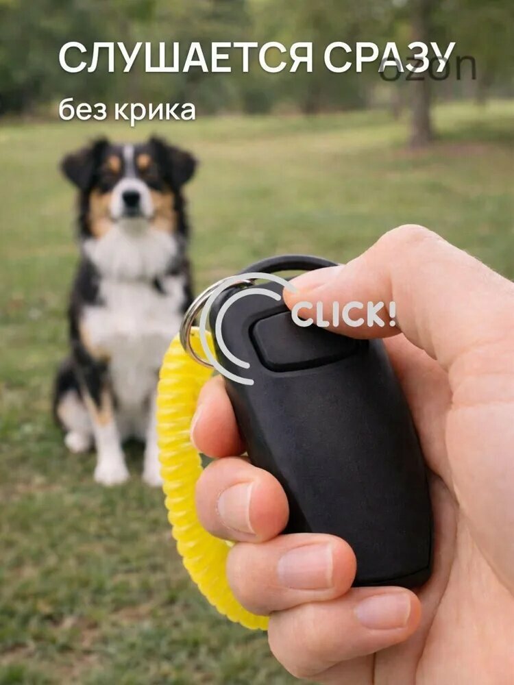 Аксессуары для дрессировки