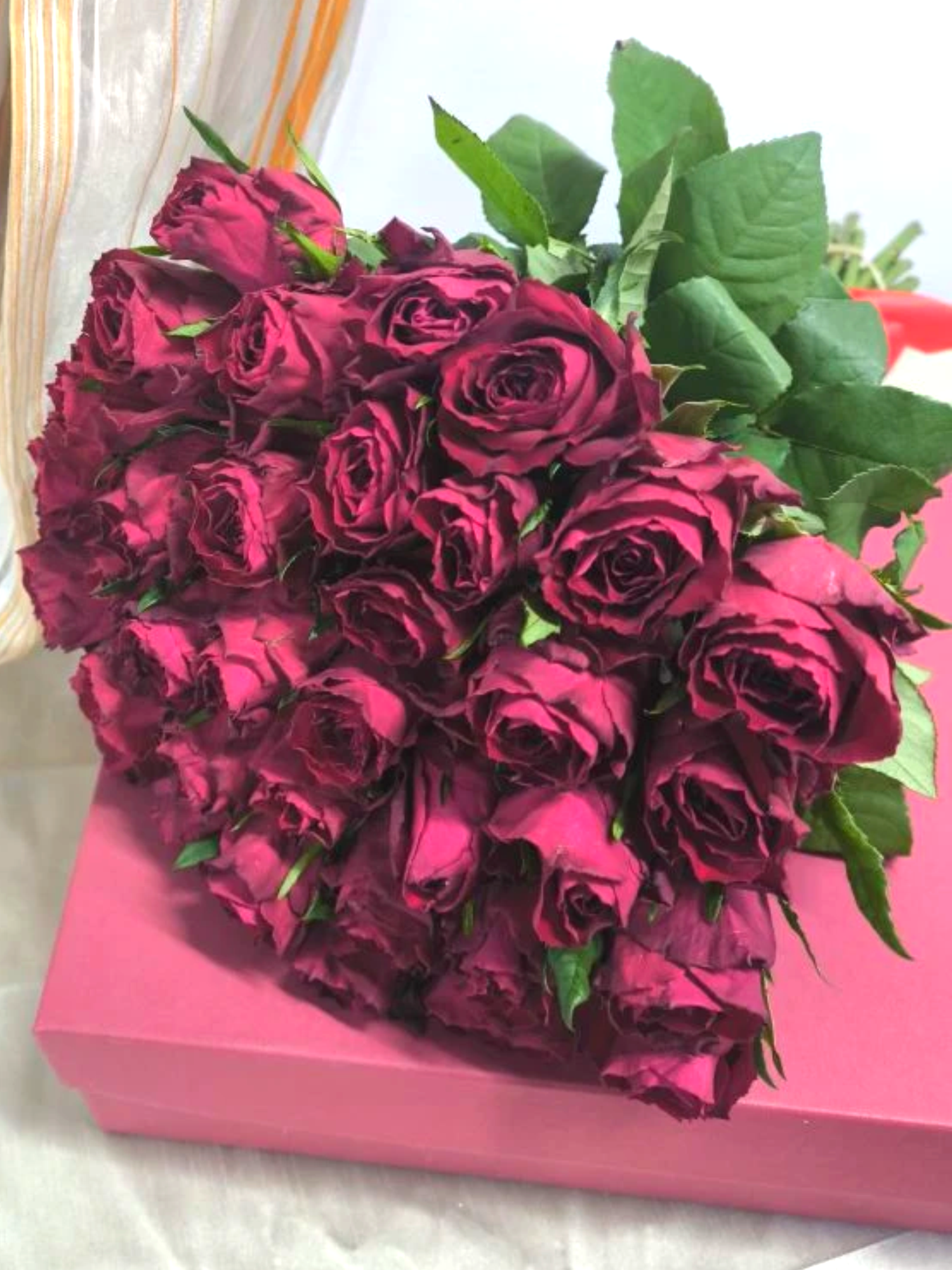 Букет живых цветов из Красных Роз 35 шт. высота 42 см. SIMFONI FLOWERS