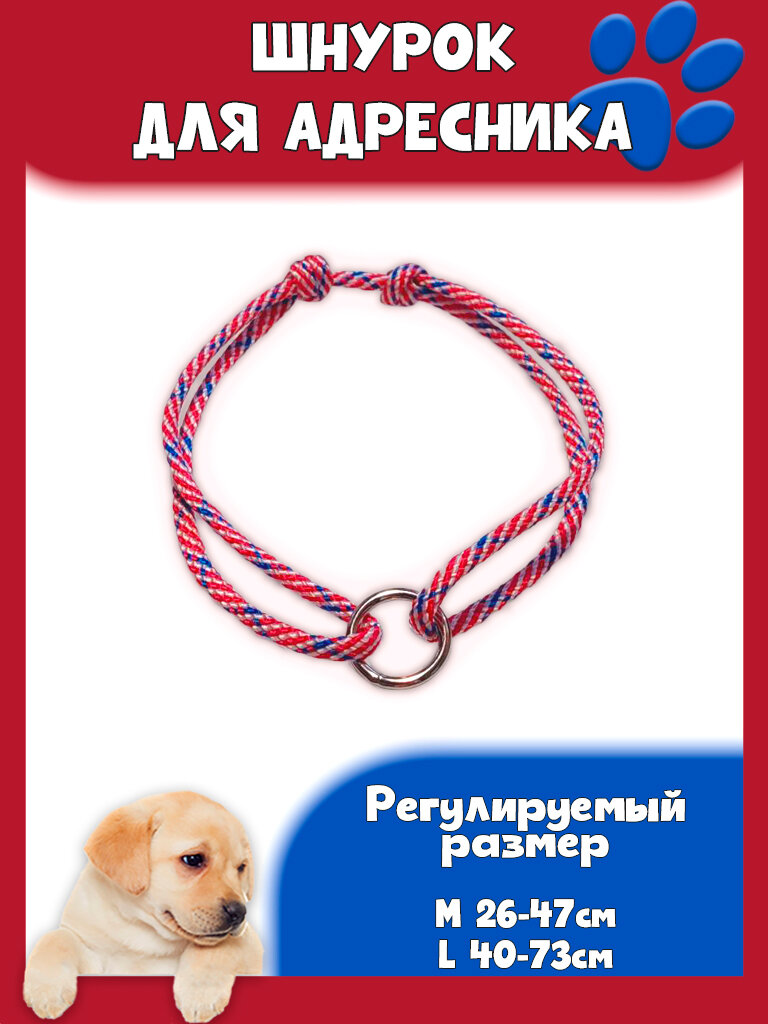 Шнурок для адресника из паракорда /КрасноСиний/ Размер М (26-47 см)