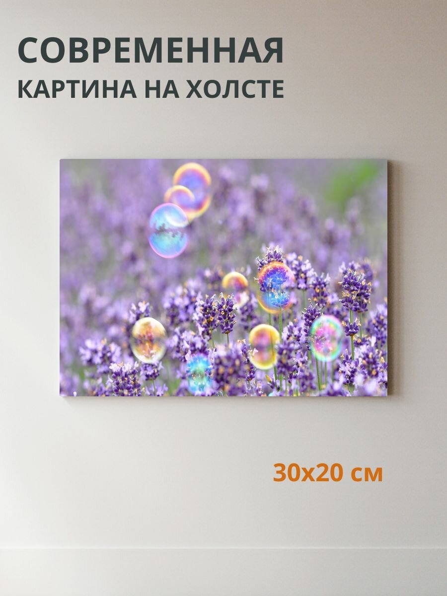Картина на холсте Мыльные пузыри на лаванды 30x20 см