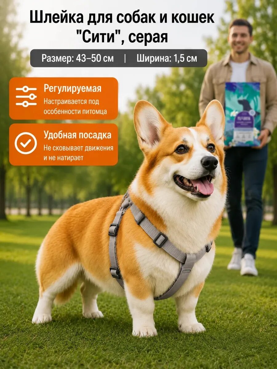 Yami Yami амуниция Шлейка "Сити" для собак, стальная, XS