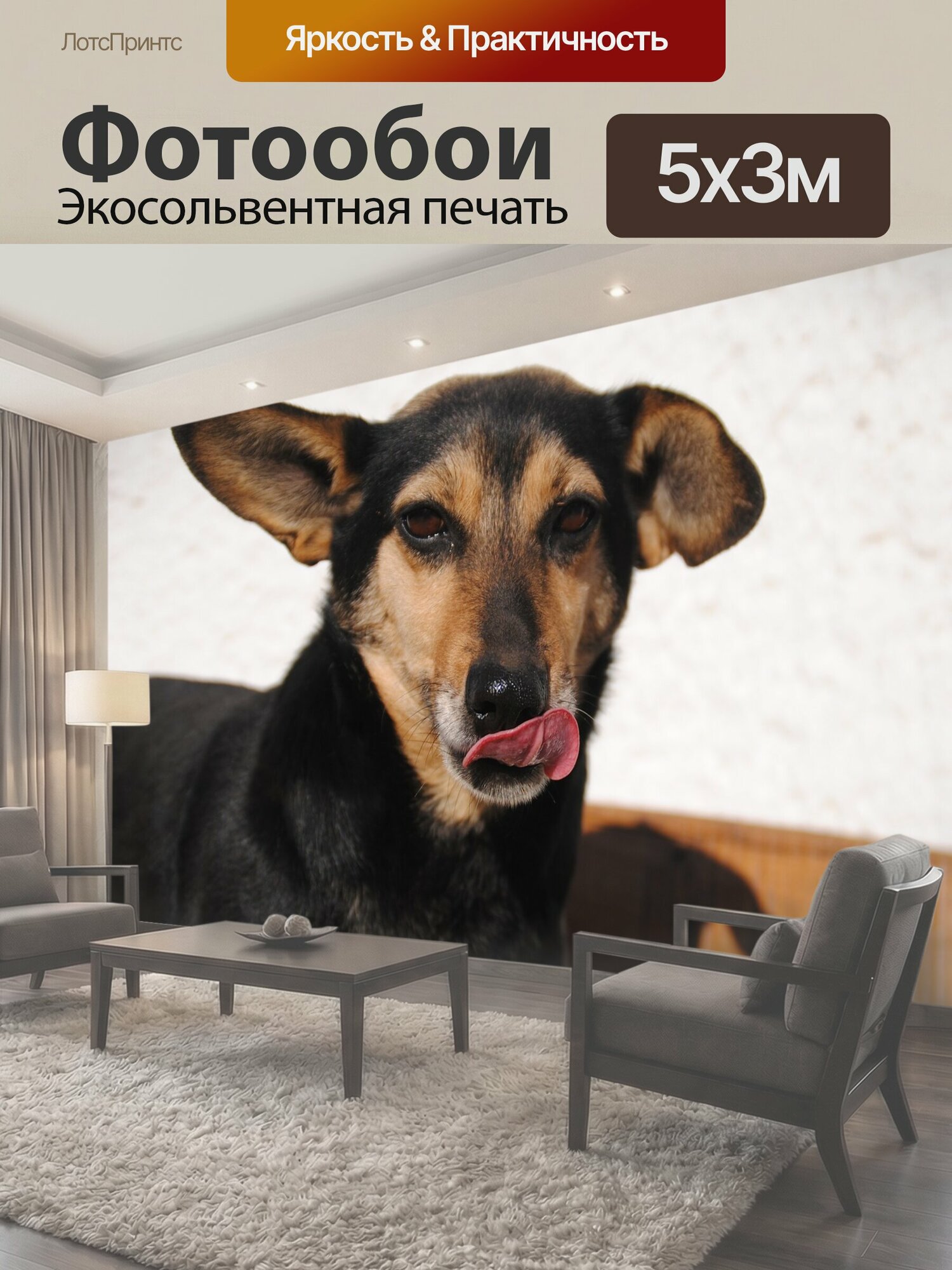Фотообои "Собака, животное, милый" 500x300 см. экосольвентная печать