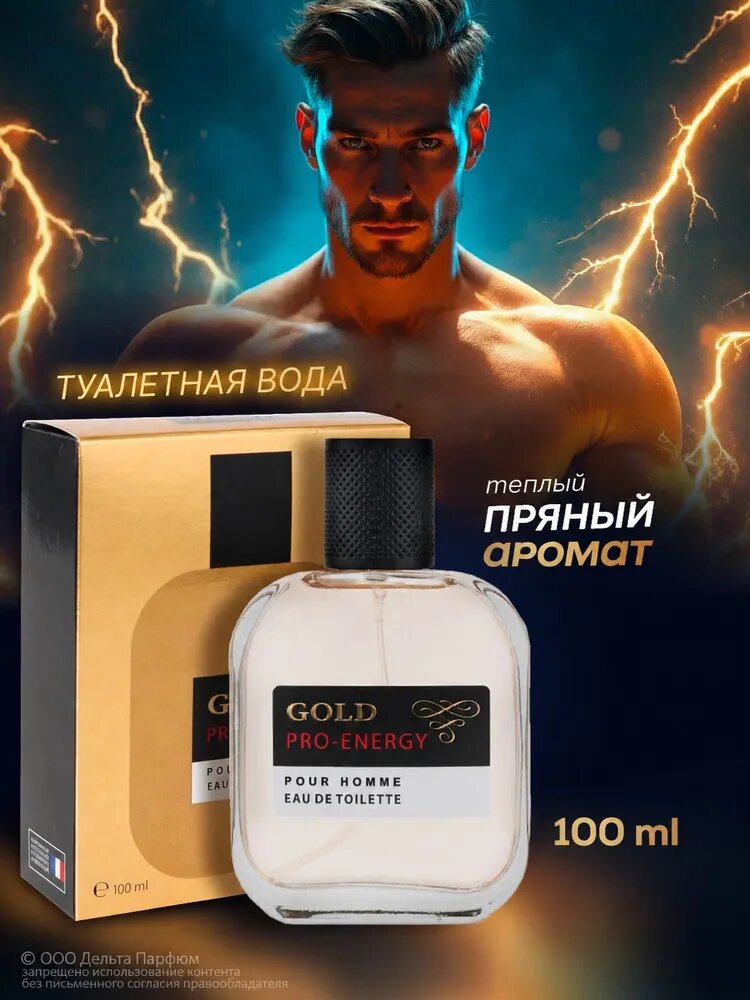 Туалетная вода мужская Pro-Energy Gold 100 мл.