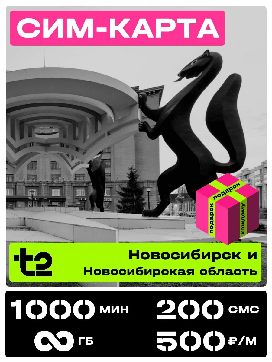 Сим карта теле 2 с безлимитным интернетом. t2 SIM-карта тариф Партнер М Новосибирская область. 1000 минут за 500 рублей в месяц.