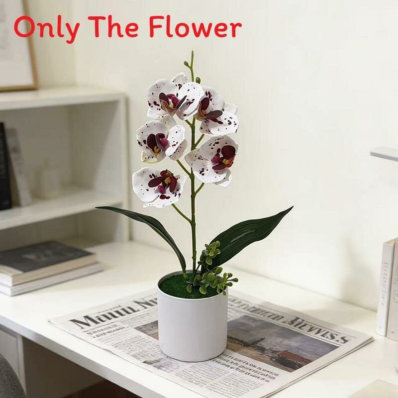 No ip orchid flower with base for home office decor and special occasion arrangements dotwhite