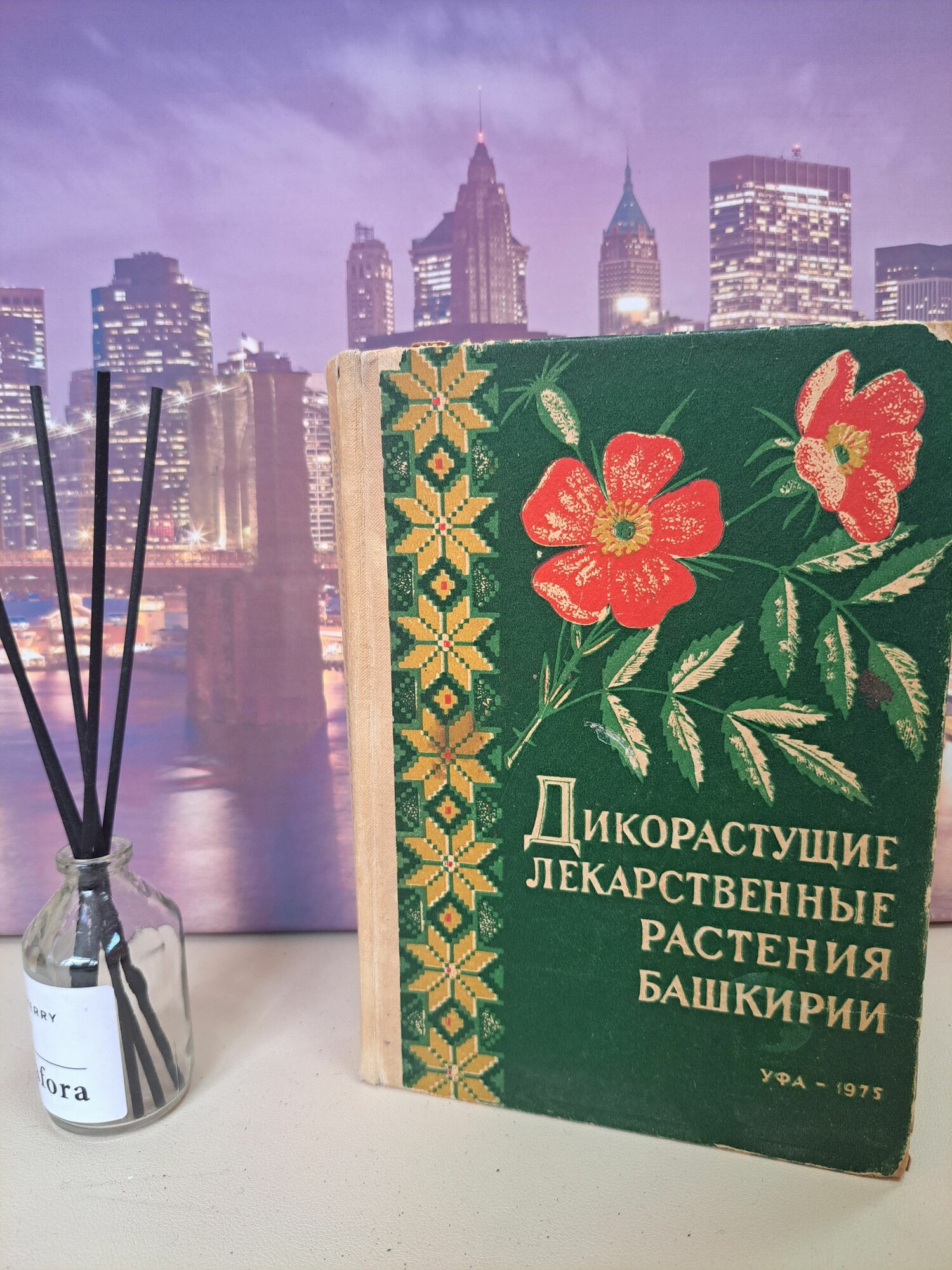 Дикорастущие лекарственные растения Башкирии
