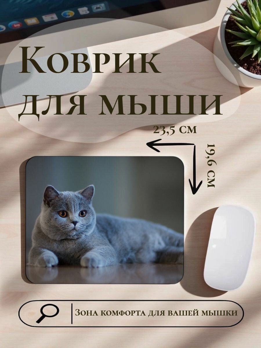 Коврик для мыши британская короткошёрстная кошка