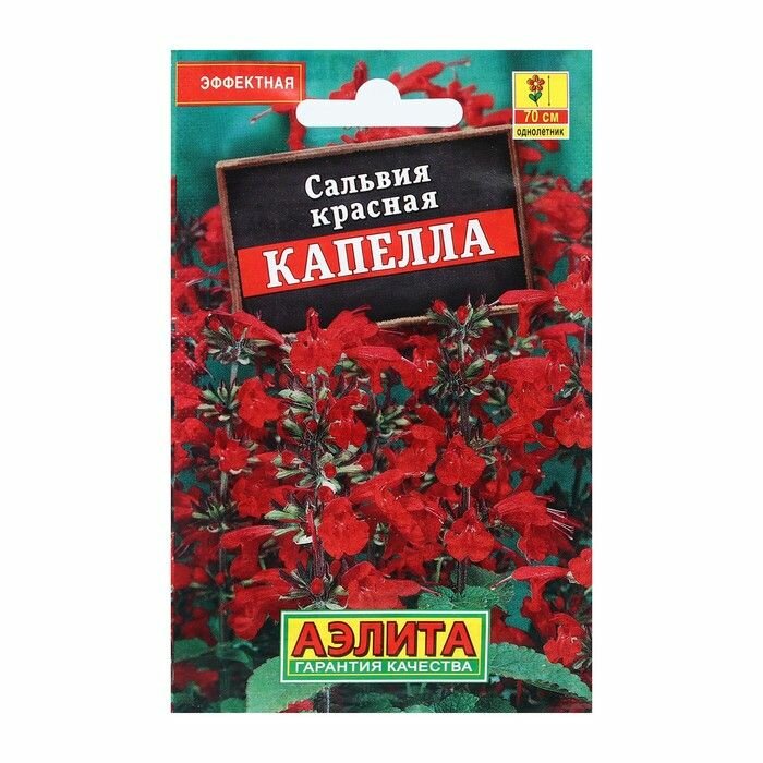 Семена Цветов Сальвия красная Капелла, 0,1 г