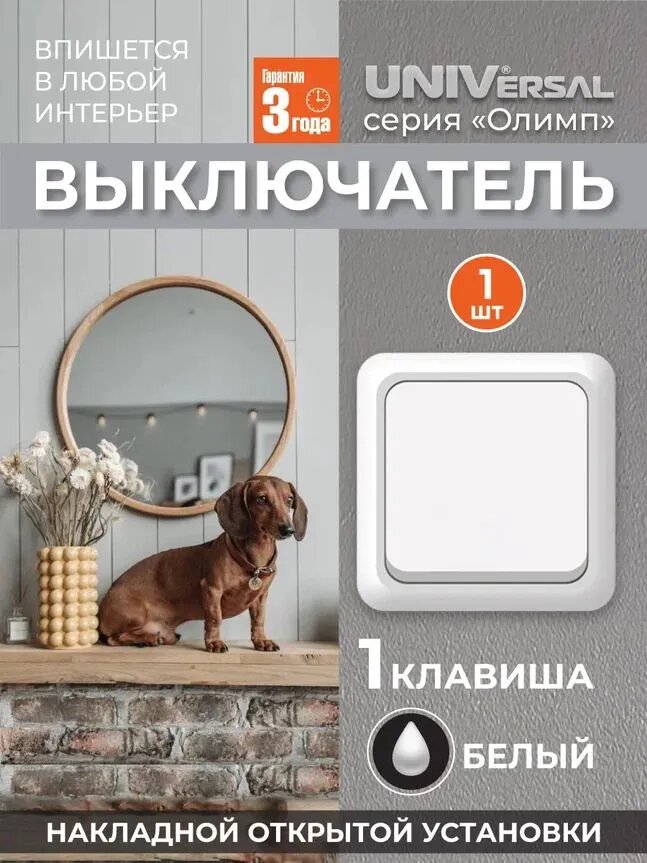 Выключатель одноклавишный "UNIVersal" серия "Олимп", открытой установки, 10А, 220В, белый