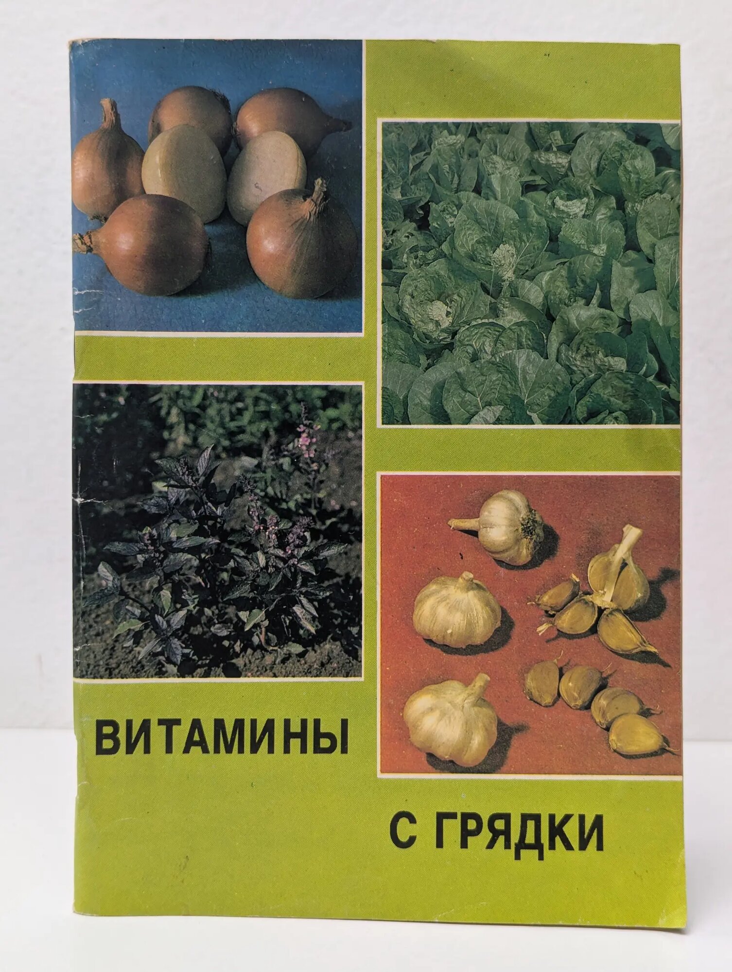 Витамины с грядки Пантиелев Яков Хацкелевич 1990
