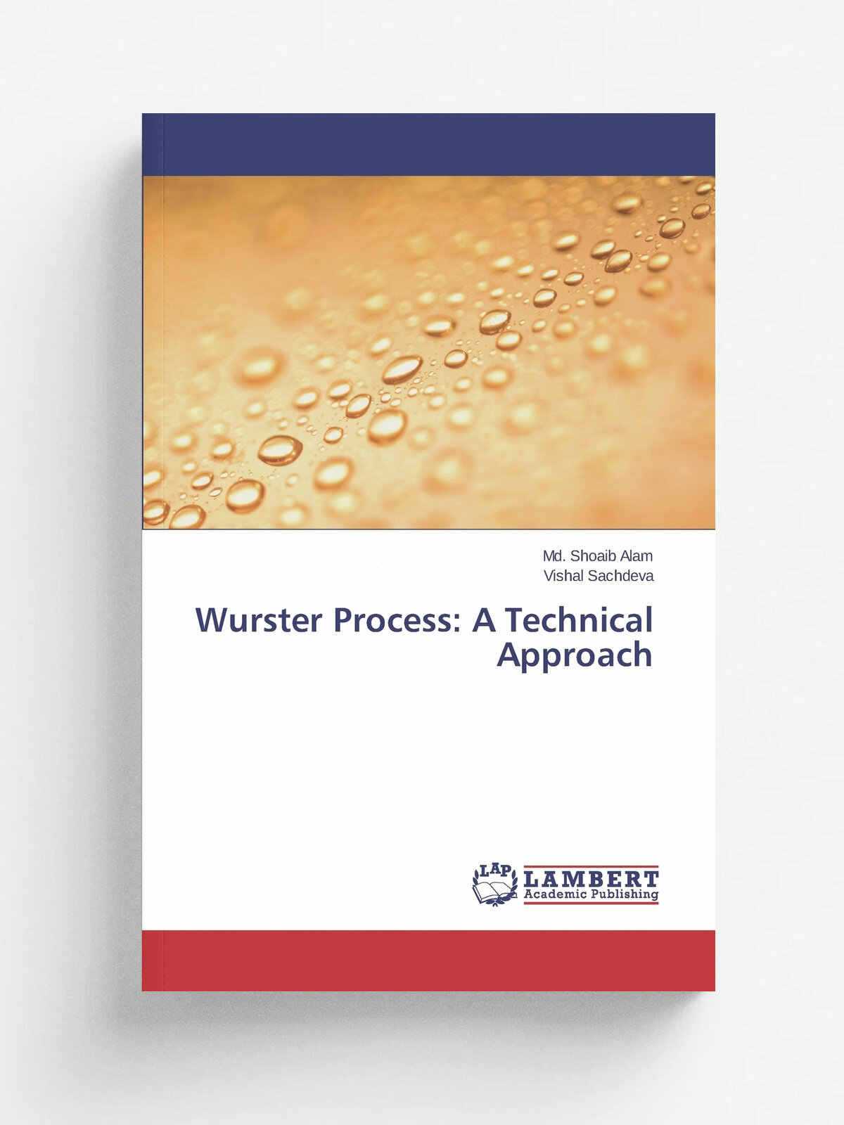 Wurster Process. A Technical Approach